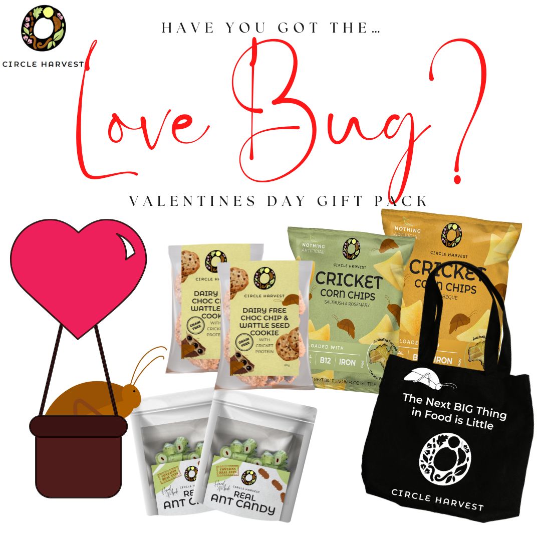 Edible Bug Shop- Circle Harvest. Australian Farmed Insect Protein